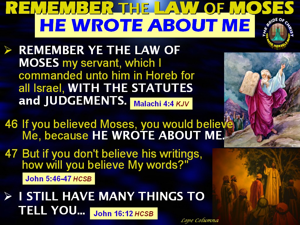 The BIBLE EXPLAINER REVELATOR ISN T THE TORAH THE LAW COMPOSED OF the-bible-explainer-revelator-isn-t-the-torah-the-law-composed-of
