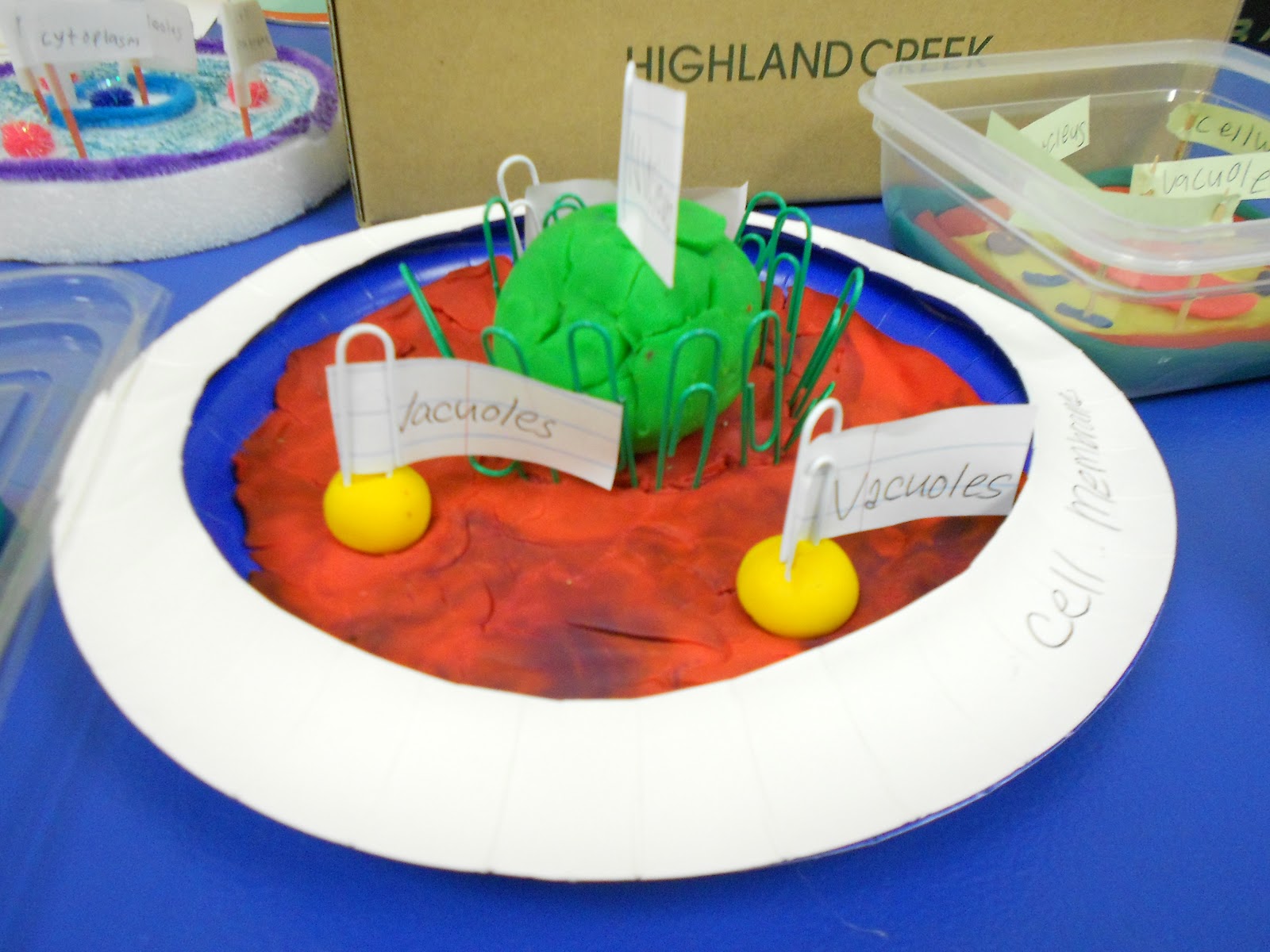 Mrs. McDonald's 4th Grade: Make a Cell Model Project