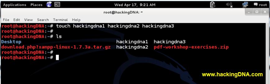Shell Scripting On Kali Linux | محمد البلوشي Shell Scripting On Kali Linux | محمد البلوشي