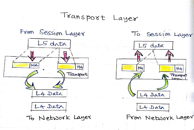 Networking(DCCN): Transport Layer Networking(DCCN): Transport Layer