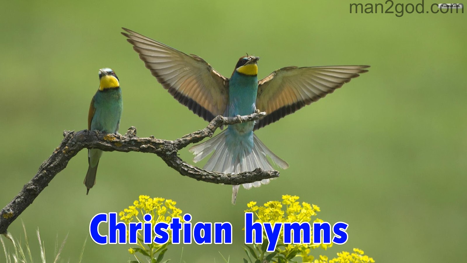 Christian Best Hymns Free Download Christian Songs And Stuff christian-best-hymns-free-download-christian-songs-and-stuff