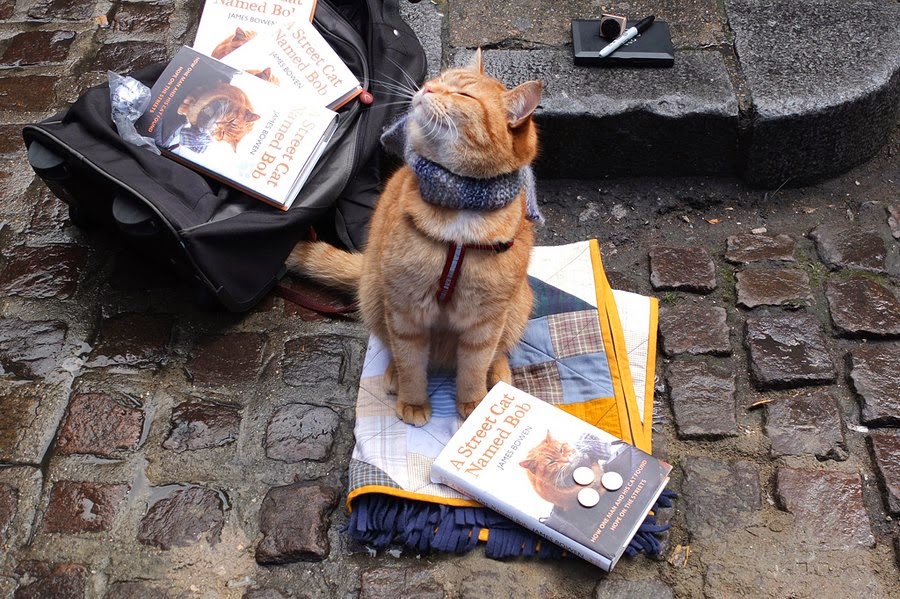 EMBUN A STREET CAT NAMED BOB embun-a-street-cat-named-bob