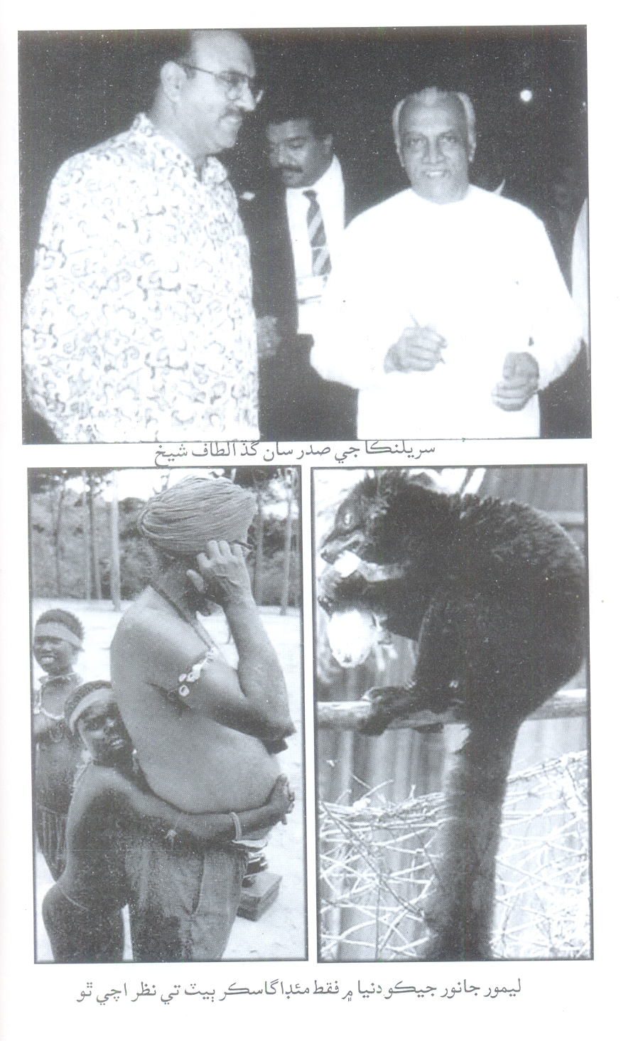 Roshni Publication: Hee Baeta Hee Kinara