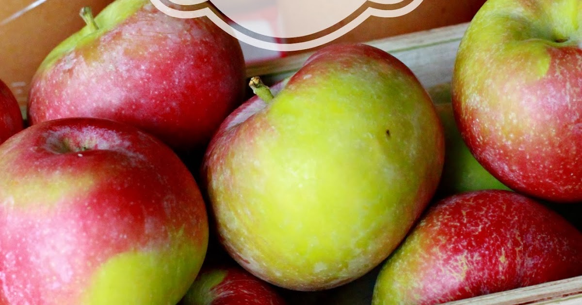 Larissa Another Day: Apple Week is Here