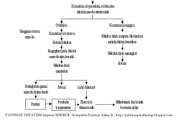 Pathway Hepatitis - Pathway Patofisiologi