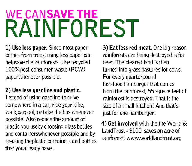 Emily Clibourn: We Can Save The Rainforest