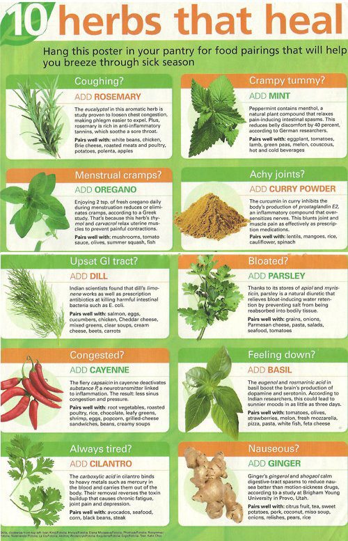 How To Live To The Fullest 10 Herbs That Heal how-to-live-to-the-fullest-10-herbs-that-heal