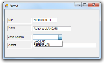 Memunculkan ComboBox Pada VB Net 2010 - Pintar VB | Tutorial Visual Basic