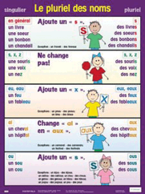 Blog de Français: le pluriel des noms et des adjectifs