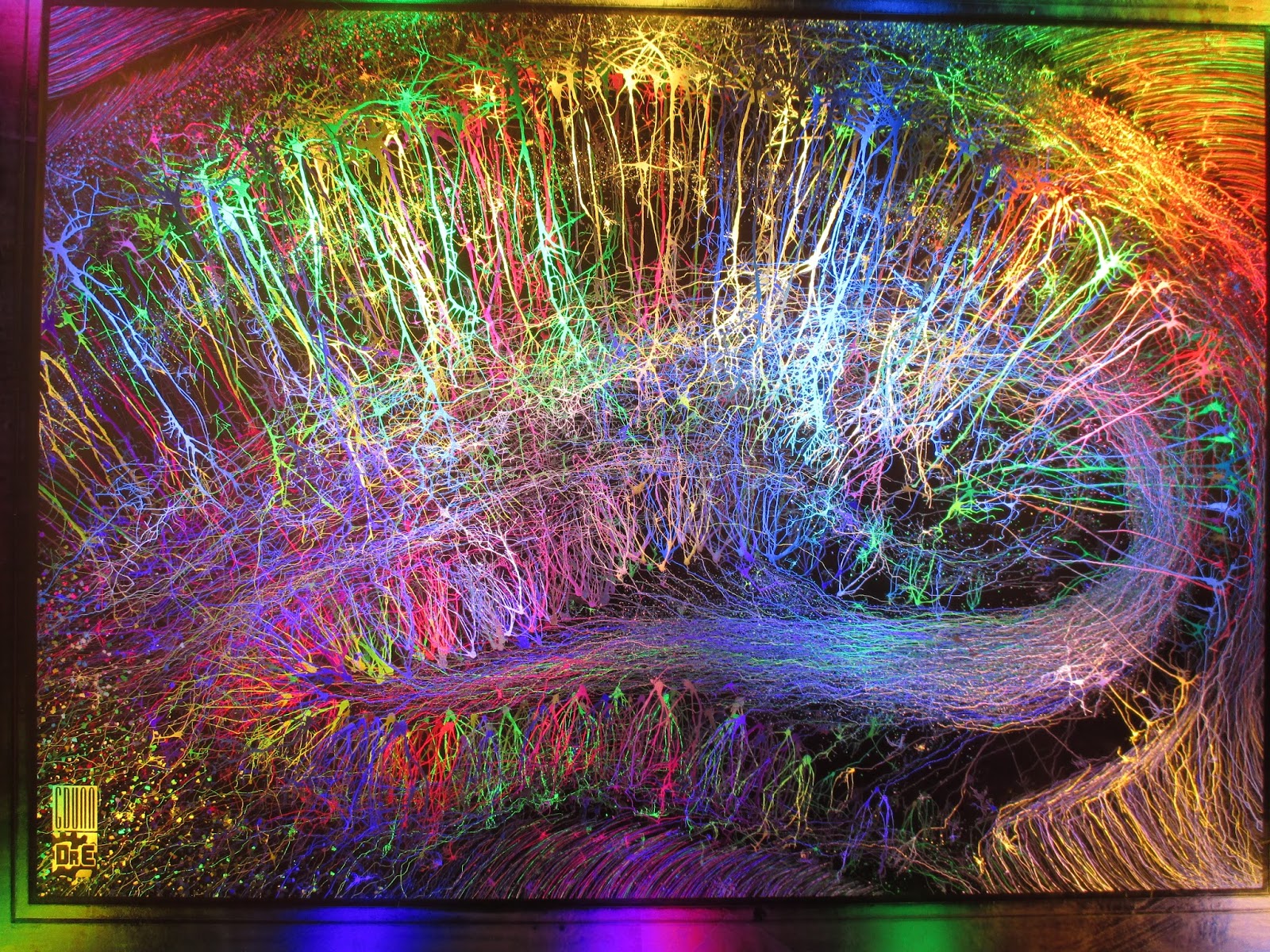 Brainbow Hippocampus