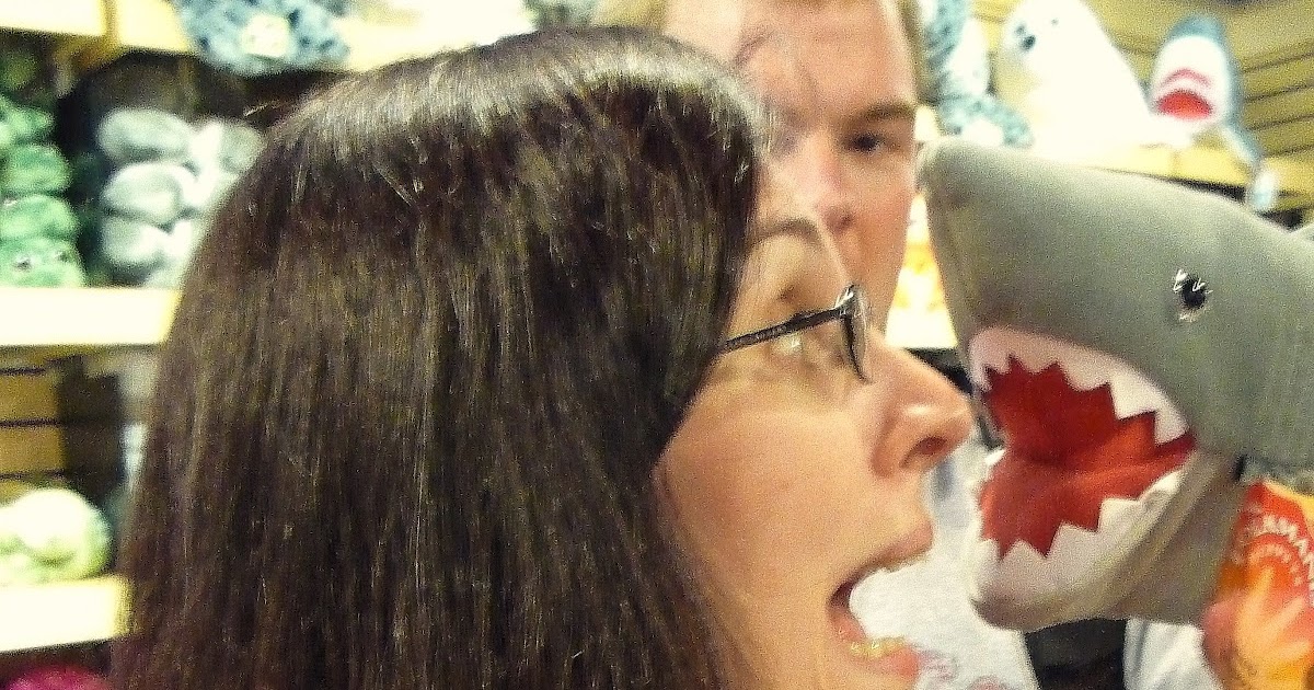 Being A Bear: Why A Bear?