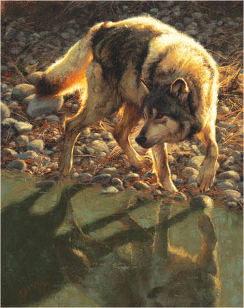 White Wolf : Greg Beecham - American Artist of the Wild West.
