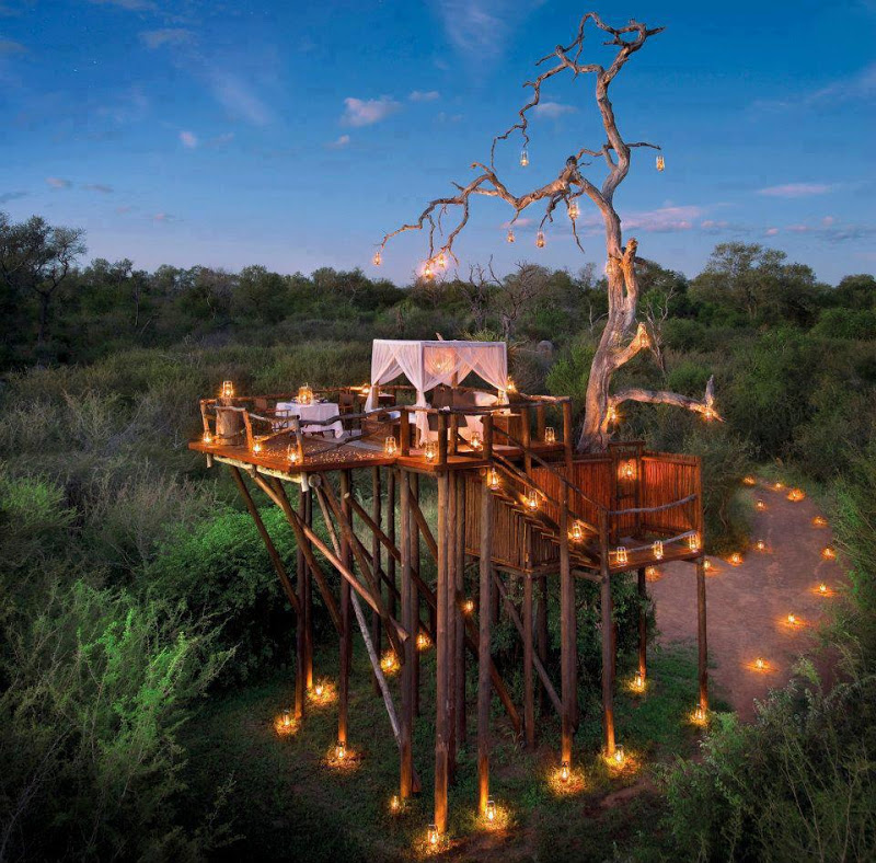 Bonao Internacional: GALERIA DE IMAGENES : LA CASA EN EL ARBOL