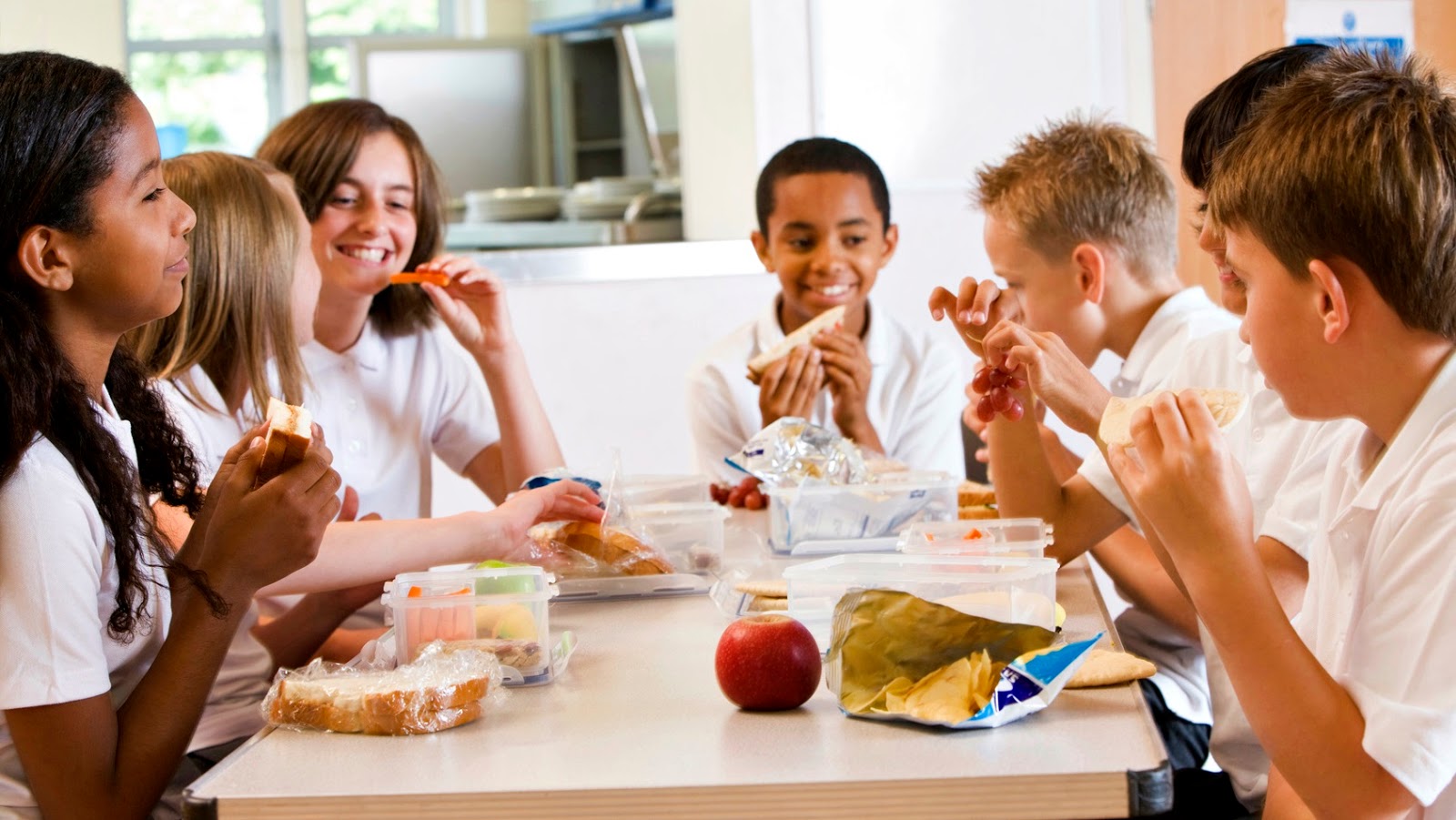 The Domestic Curator The Best Lunch Boxes For Kids the-domestic-curator-the-best-lunch-boxes-for-kids