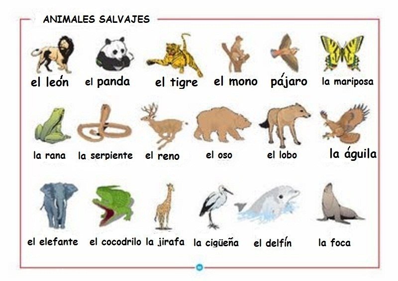 NUEVO PAÍS, NUEVA LENGUA.: octubre 2015