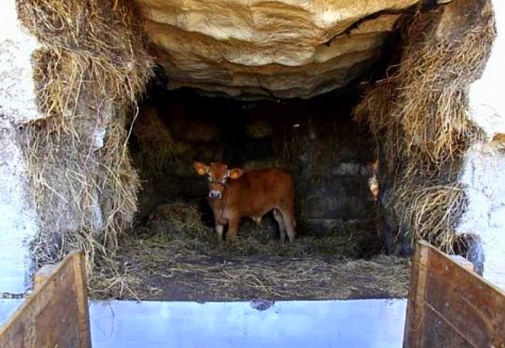 The Flying Tortoise: The Very Strange Tiny Truffle House Is A Home In A ... The Flying Tortoise: The Very Strange Tiny Truffle House Is A Home In A ...