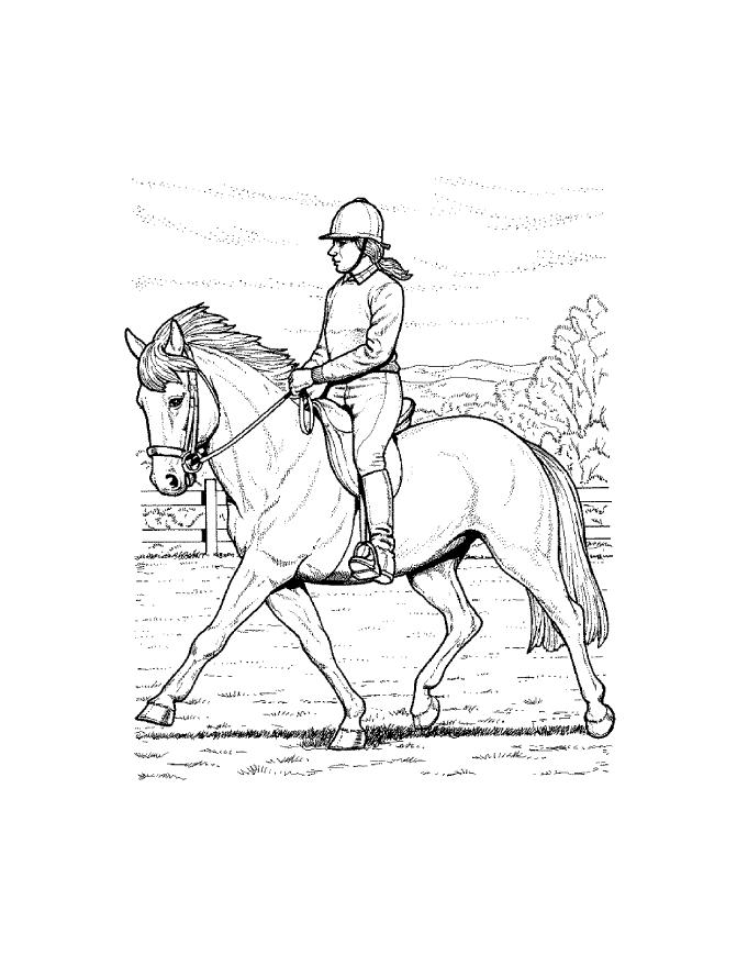 Coloring Pages: Horse Coloring Pages Free and Printable