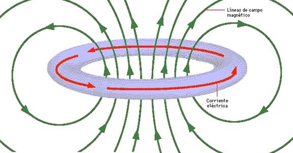 Campo Magnético: Campo magnético creado por un conductor circular