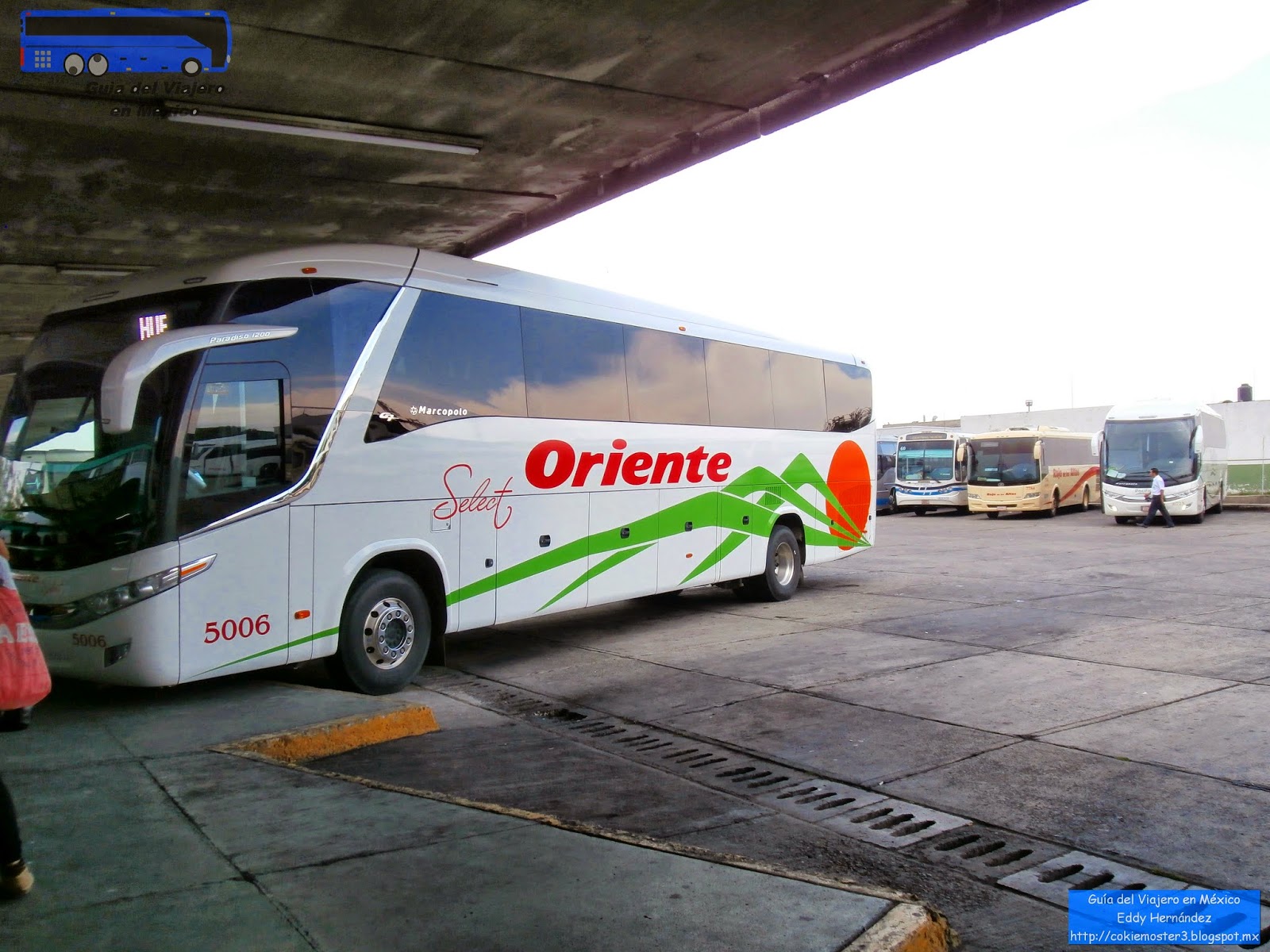 Autobuses Oriente
