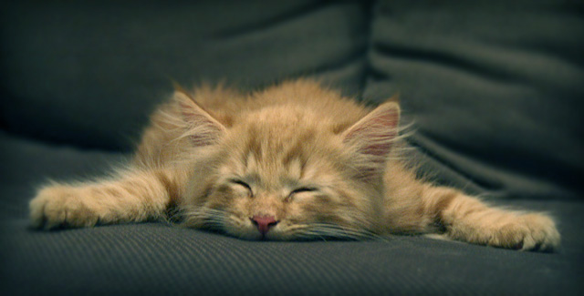 skryfblok: I must be tired skryfblok: I must be tired