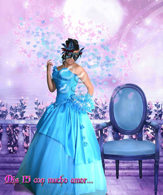 Mis XV vector - Imagui