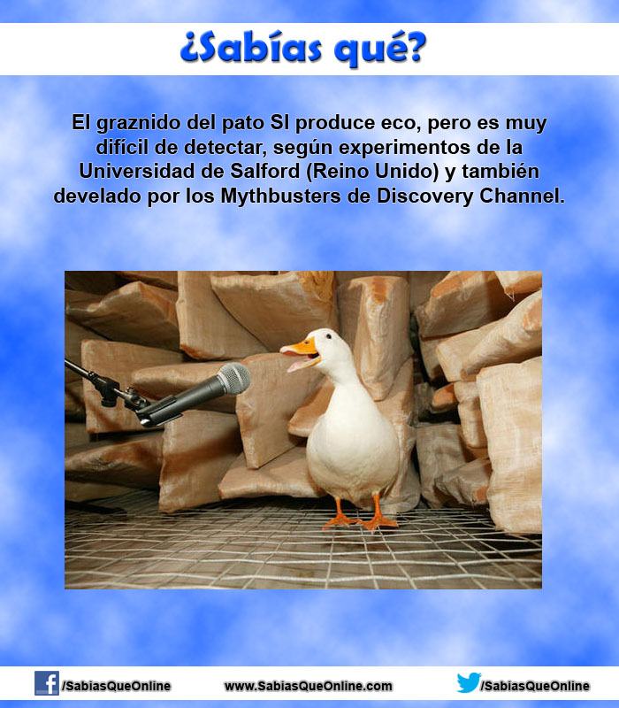 Sabías Qué - Curiosidades de un mundo interesante - Taringa! Sabías Qué - Curiosidades de un mundo interesante - Taringa!