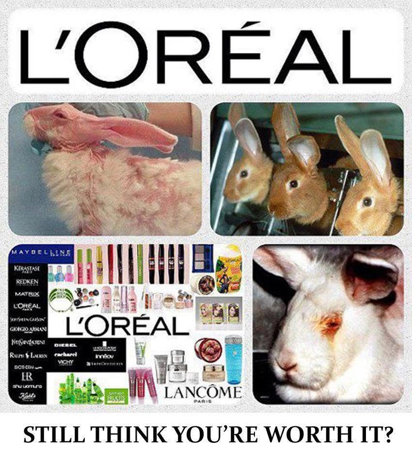Are You For Or Against Animal Testing are-you-for-or-against-animal-testing