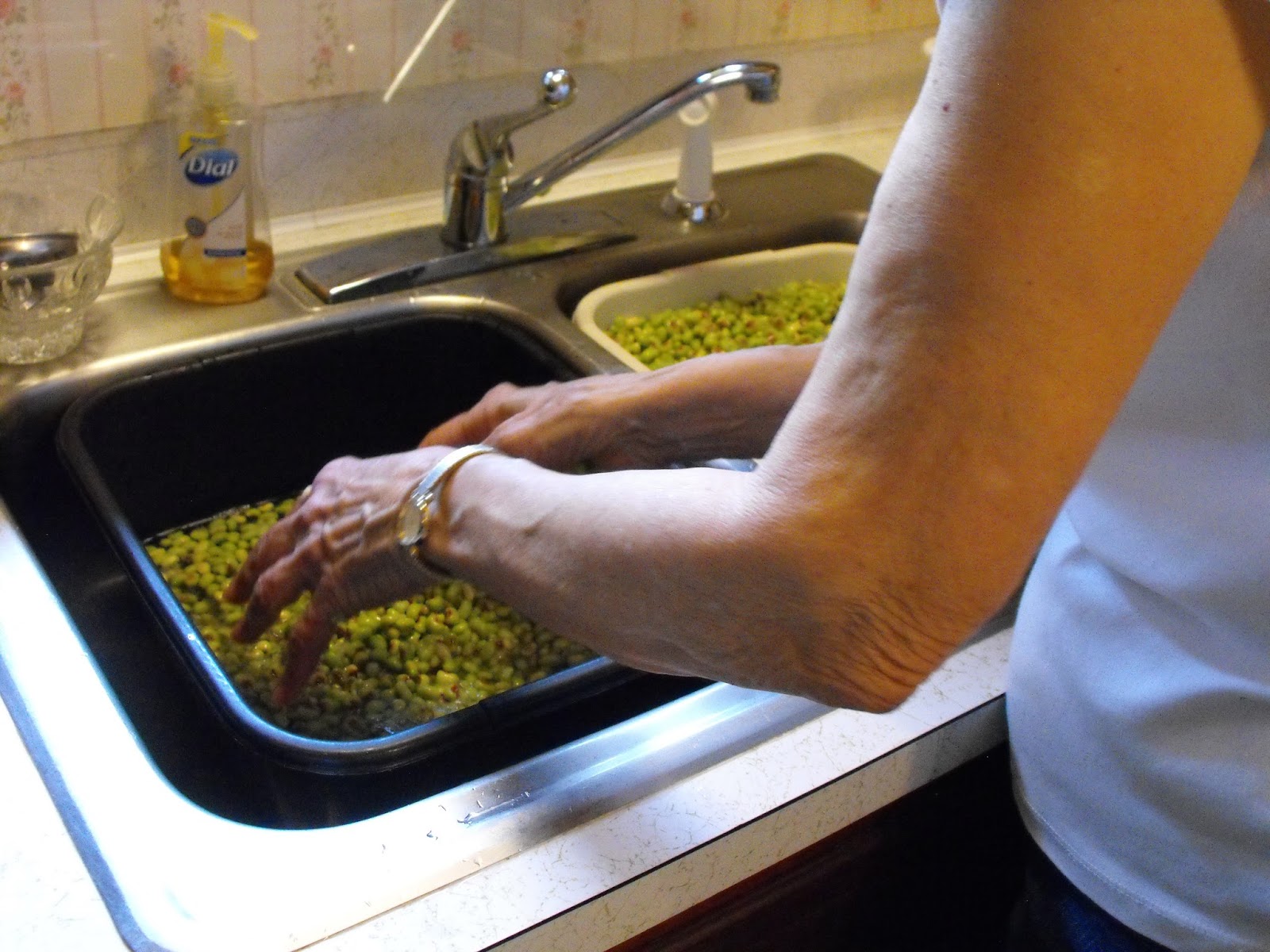 Secrets of a Southern Kitchen: How to Freeze Purple Hull Peas