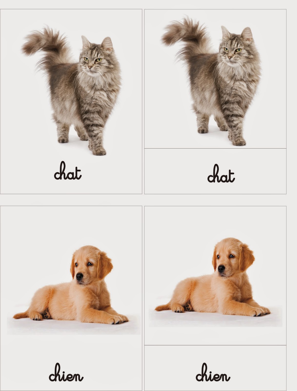 ma petite fabrique montessori: Cartes de nomenclatures animaux domestiques