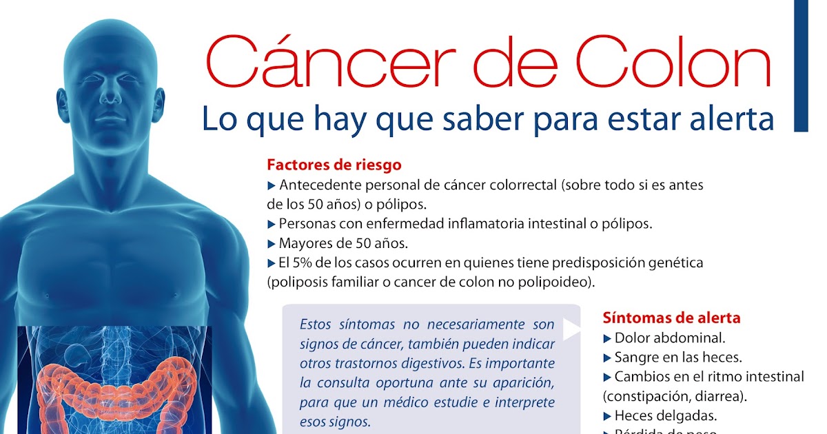 Que Es El Cancer De Colon - SEO POSITIVO Que Es El Cancer De Colon - SEO POSITIVO