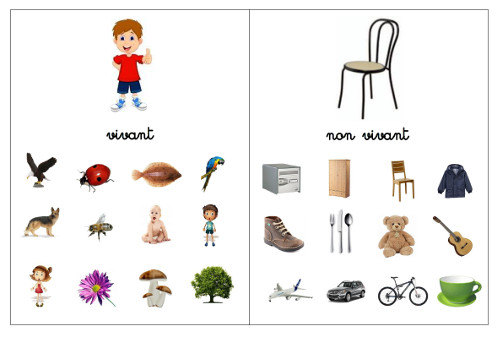 Crapouillotage: Vivant / Non Vivant