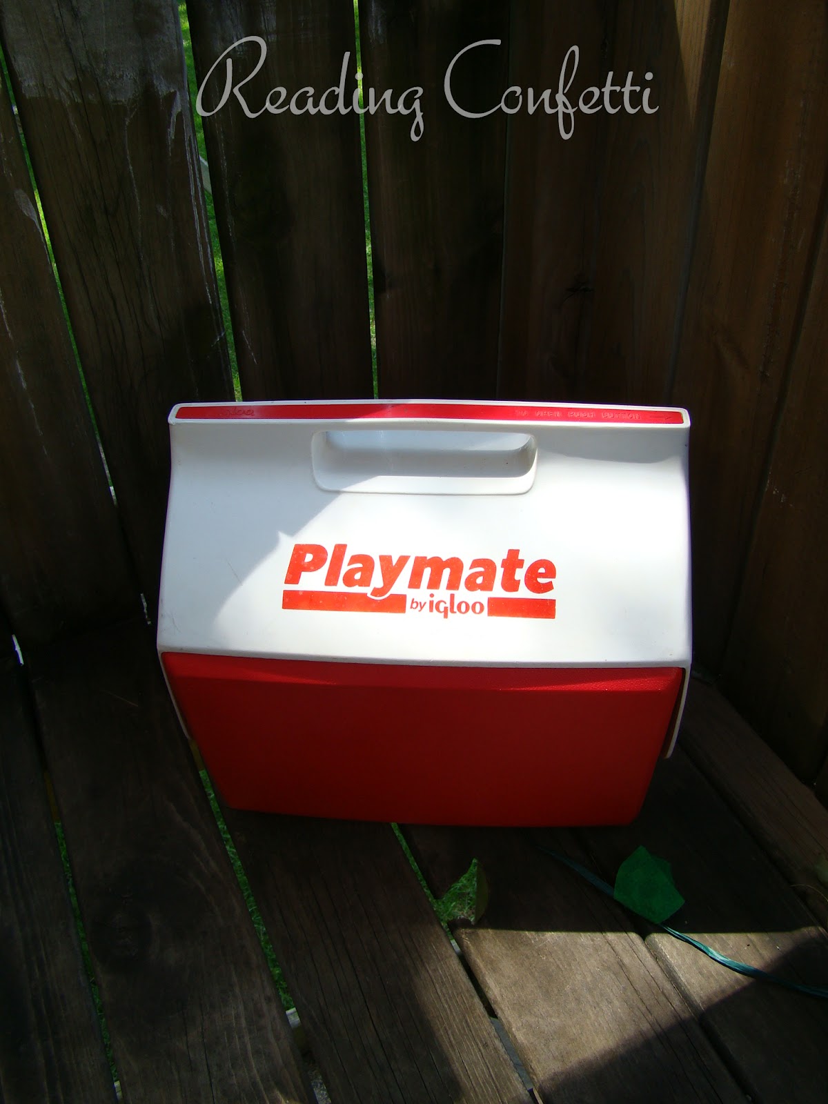 Reading Confetti: Magic Beans