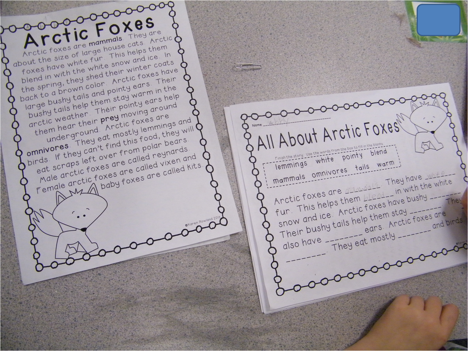 Adventures With Firsties Our mini Research Project adventures-with-firsties-our-mini-research-project