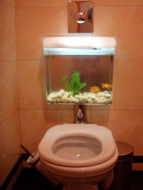 Discover Mass Of Funny Facebook Status And Funny Jokes Quotes Funny Fish Tank discover-mass-of-funny-facebook-status-and-funny-jokes-quotes-funny-fish-tank