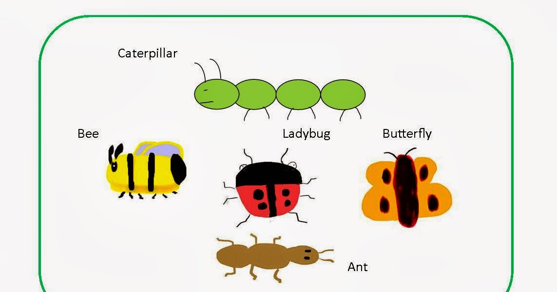 I CAN LEARN!: I Is for Insects!