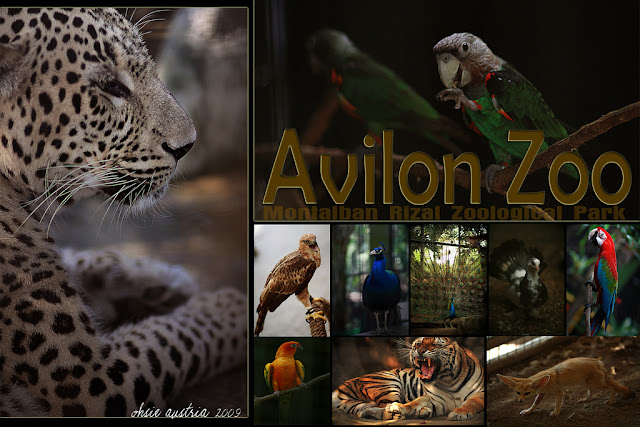 The Cavite Traveller: Avilon Zoo: MONTALBAN ZOOLOGICAL PARK
