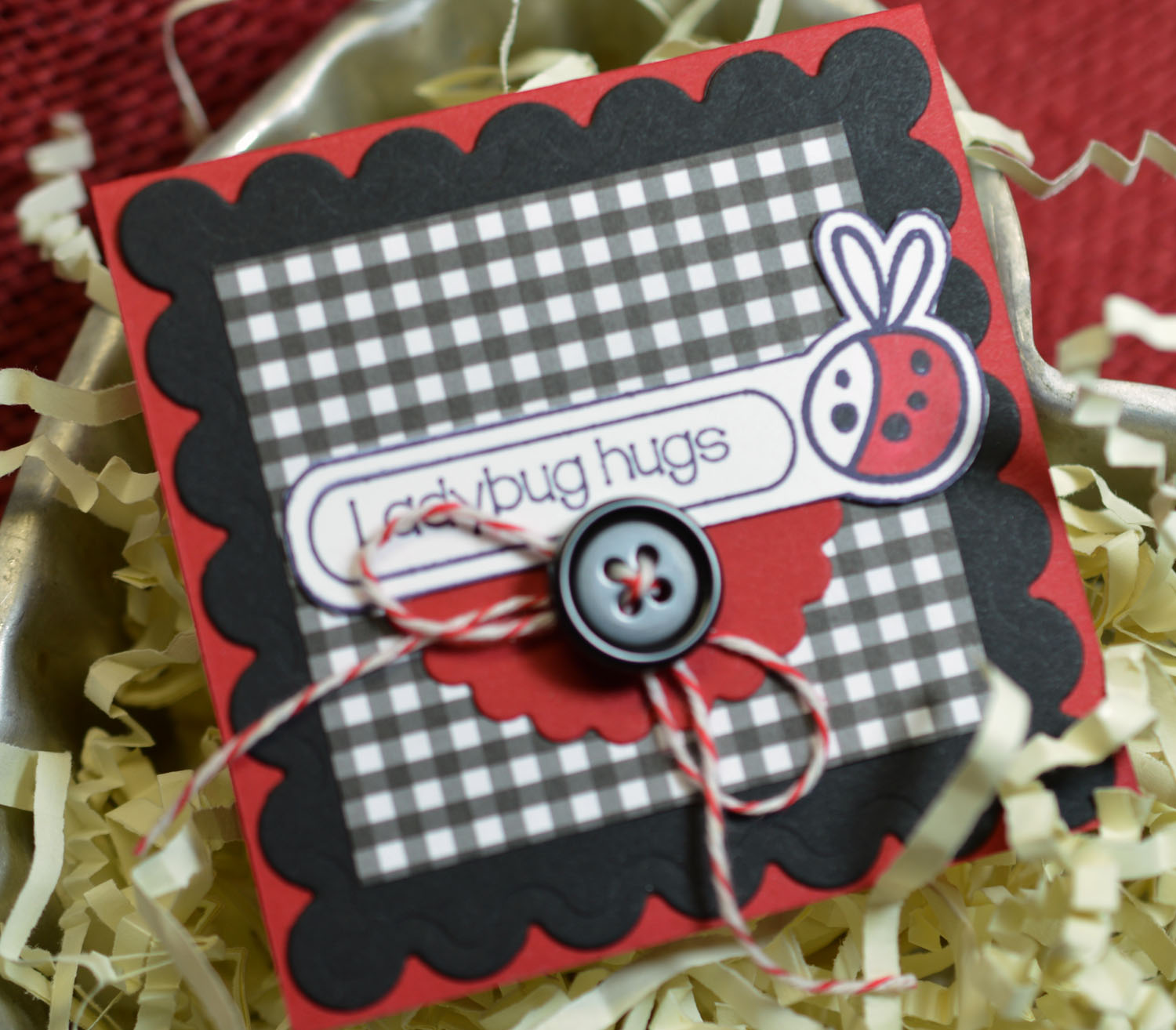 Lori Hairston: Back to Ladybugs!