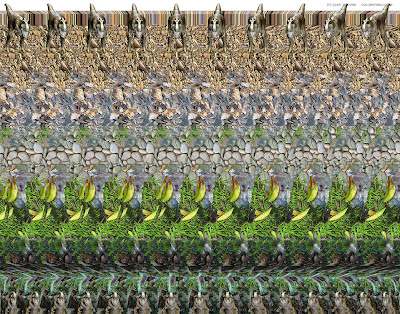 Stereogram dinosaur - tyredbw