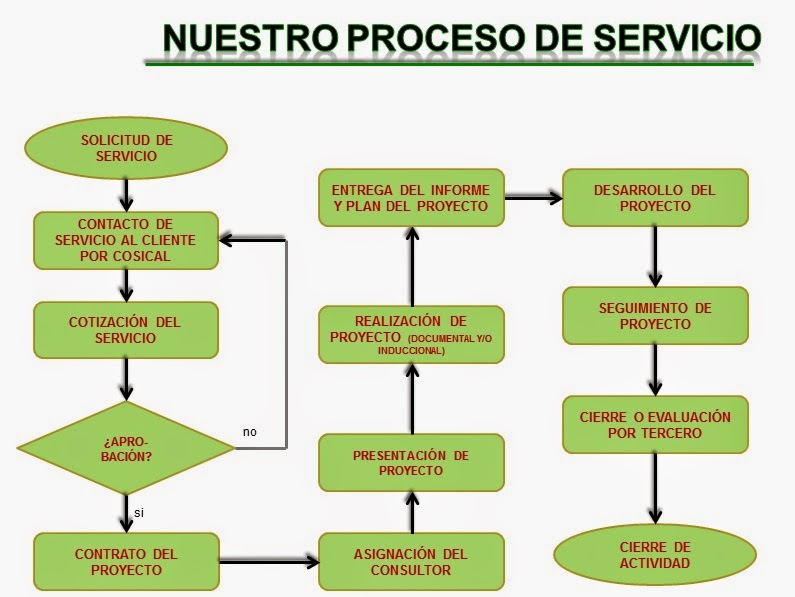 CONSULTORÍA ORGANIZACIONAL EN SISTEMAS Y DE CALIDAD, S.deR.L.deC.V.: PROCESO DE SERVICIO DE COSICAL