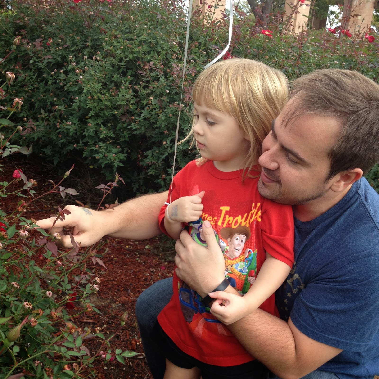 Sweetly Voiced My 4 Year Old sweetly-voiced-my-4-year-old