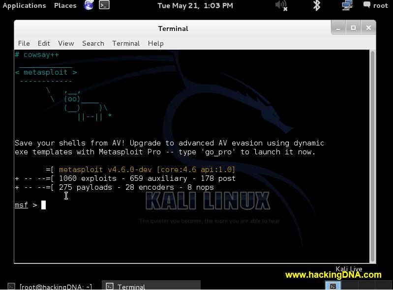 HackingDNA: PostgreSQL On Kali Linux