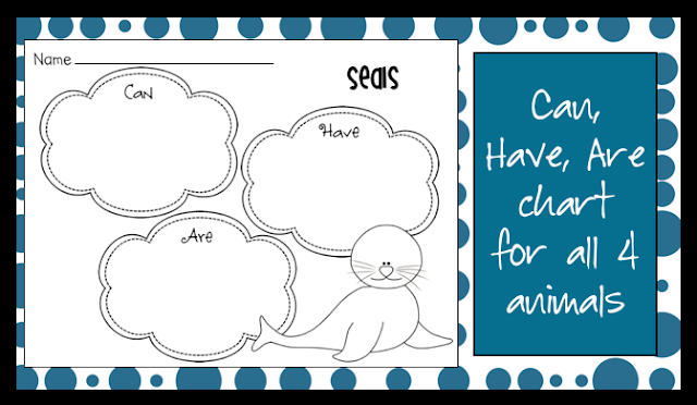 Primary Possibilities: Arctic Animals