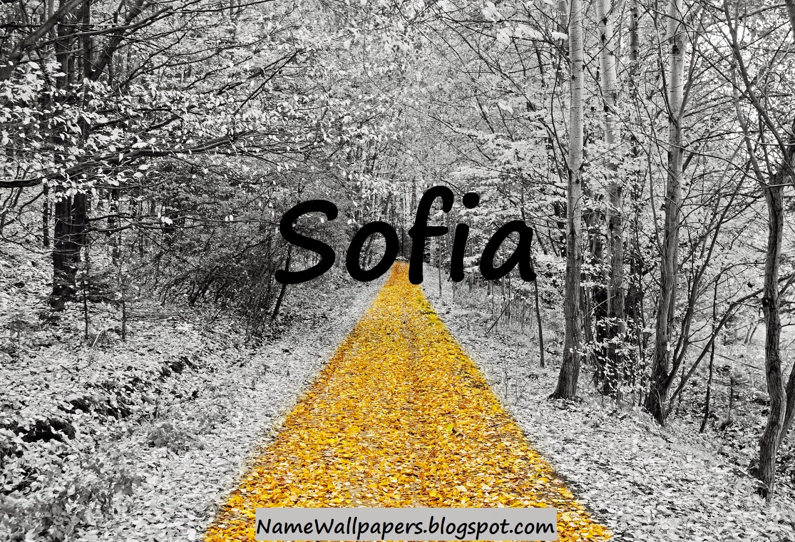 Sofia Name Wallpapers Sofia Name Wallpaper Urdu Name Meaning Name sofia-name-wallpapers-sofia-name-wallpaper-urdu-name-meaning-name
