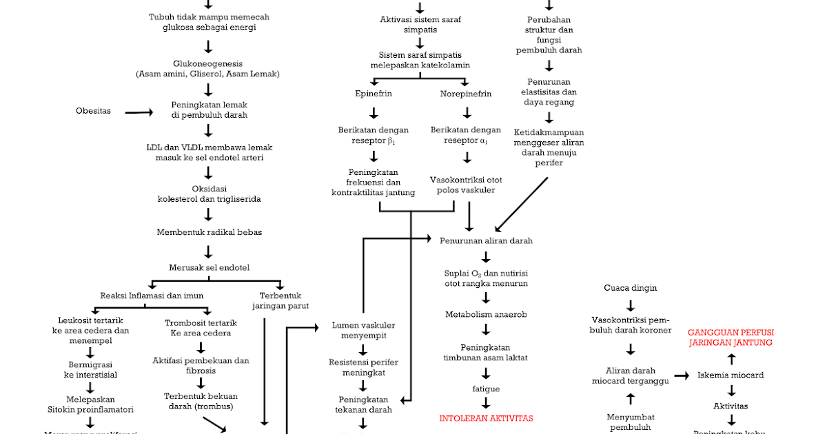 Pathway IMA (Infark Miocard Acute)