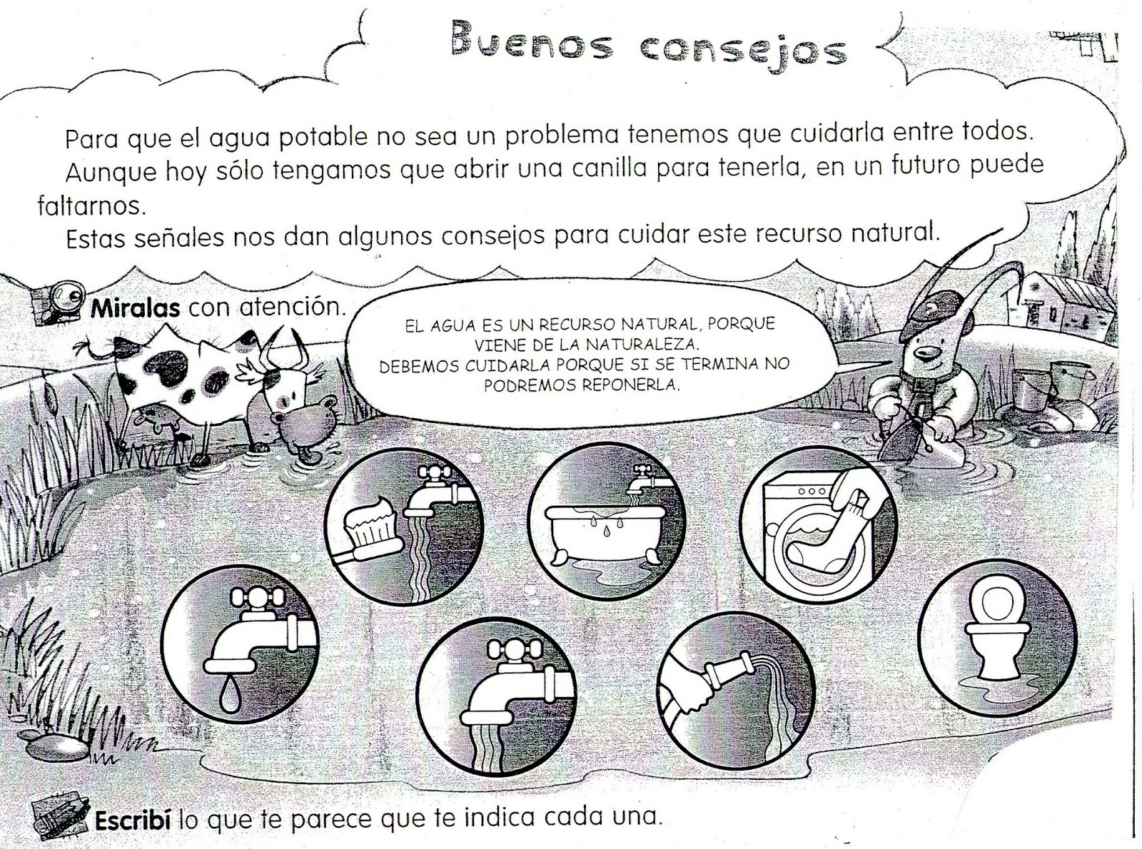 ACTIVIDADES FOTOCOPIABLES PARA NIVEL PRIMARIO: Ciencias Naturales-El ... ACTIVIDADES FOTOCOPIABLES PARA NIVEL PRIMARIO: Ciencias Naturales-El ...