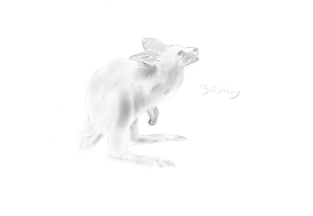 A Draw A Day a-draw-a-day