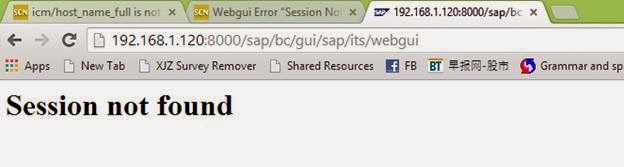 SAP Basis For Beginner: Introduction and how to configure SAP Web GUI