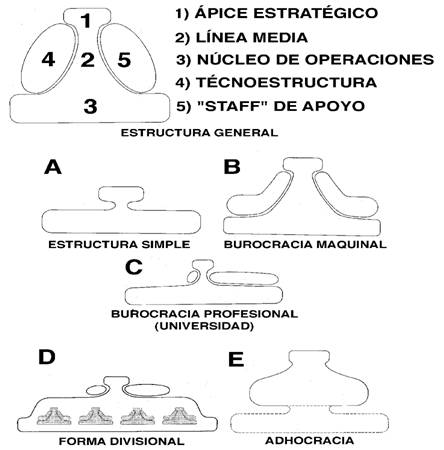 Sociología Divertida: Los modelos de Mintzberg