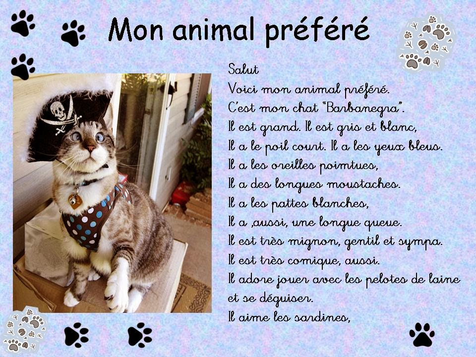 Français pour souris: Description de mon animal de compagnie
