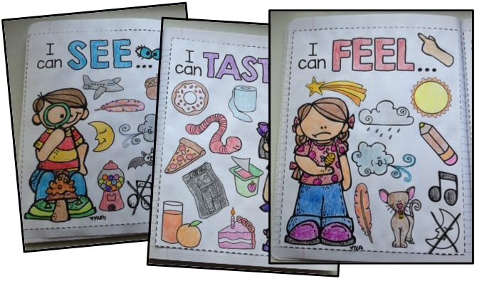 Science Interactive Notebooks The Five Senses | The Barefoot Teacher